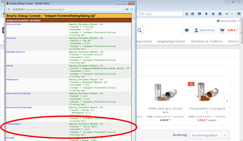 Debuggen mit Shopware | mbdus - Softwareentwicklung